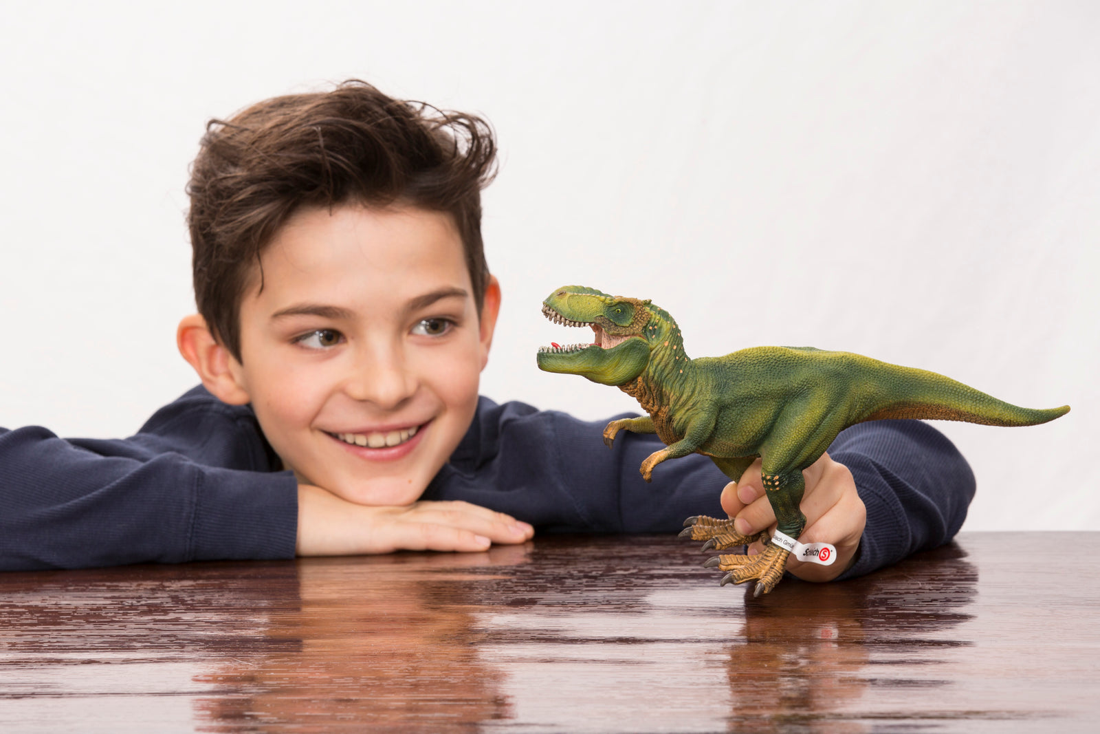 Our Favorite Schleich Dinosaurs (Top 10) – Maziply Toys