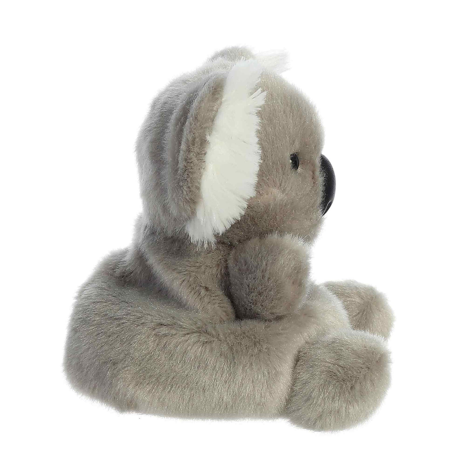 Palm Pals 5" Wiggles Koala Stuffed Animal – Maziply Toys
