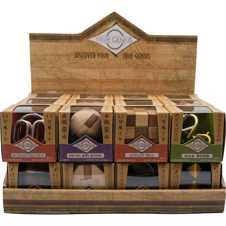 Project Genius – Maziply Toys