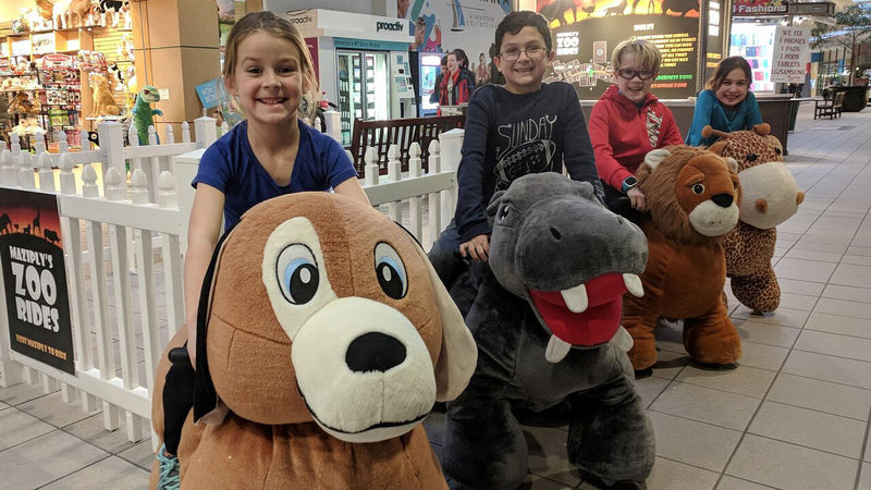 Zoo Rides - 15 Minute Animal Ride