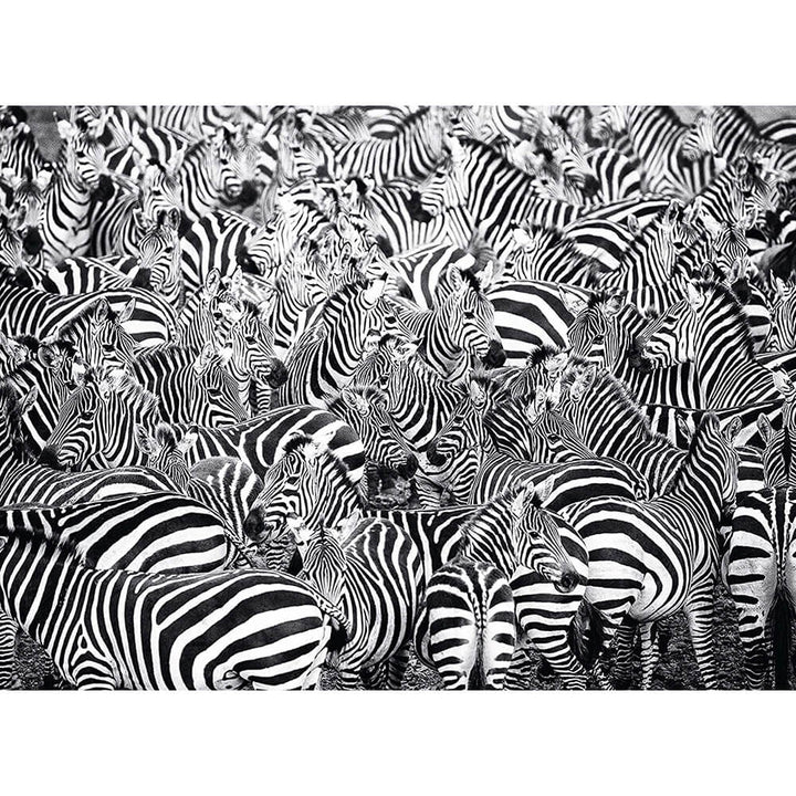 Ravensburger Zebra Challenge 500 Piece Puzzle – Maziply Toys
