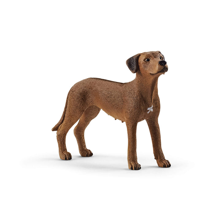 Schleich Farm World Rhodesian Ridgeback Figure – Maziply Toys