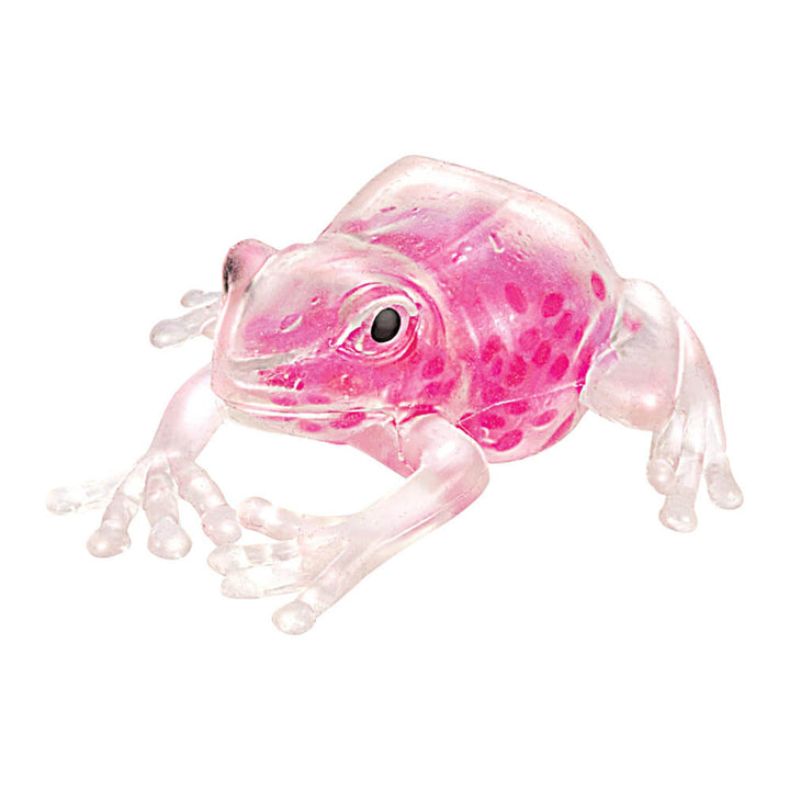 Schylling Squish the Frog Fidget Toy – Maziply Toys