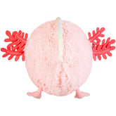 Squishable Mini Baby Axolotl Plush – Maziply Toys