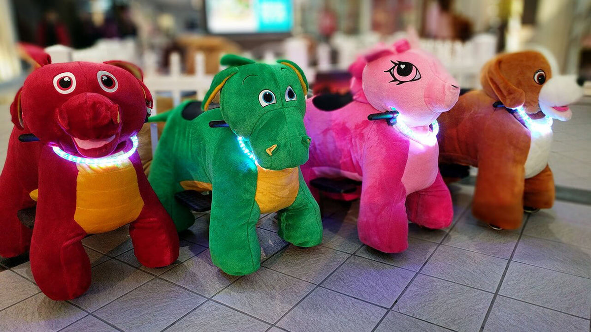 Zoo Rides - 15 Minute Animal Ride – Maziply Toys