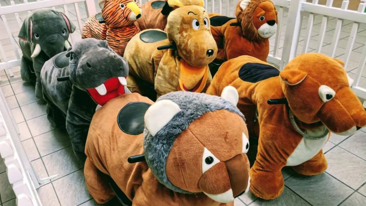 Zoo Rides - 15 Minute Animal Ride – Maziply Toys